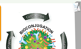 Bioconjugation Newsletter