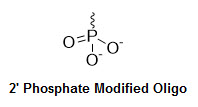 2' Phosphate Oligonucleotide Modification