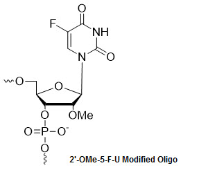 5-Fluoro-2'-O-Methyluridine Oligonucleotide Modification