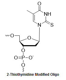 2-Thiothymidine Oligonucleotide Modification