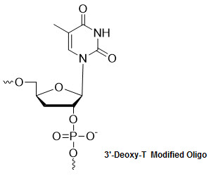 3'-Deoxythymidine, 3'-dT, 2'-5' Linked Oligonucleotide Modification