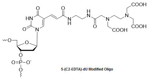 EDTA 2'-deoxyuridine Modified Oligonucleotide
