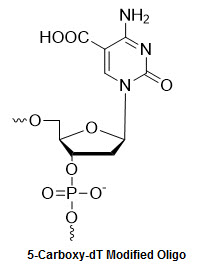 5-Carboxy-2'-deoxycytidine, 5-Carboxy-dC Oligonucleotide Modification