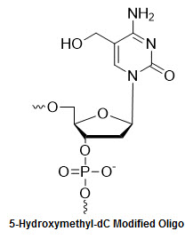 5-Hydroxymethyl-2'-deoxycytidine Oligonucleotide Modification