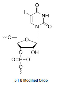 5-Iodouridine, 5-Iodo-Uridine Oligonucleotide Modification