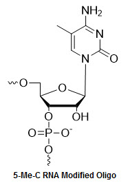 5-Methylcytidine, 5-Me-C Oligonucleotide Modification