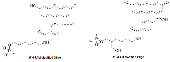 6-FAM Fluorescent Dye Oligonucleotide Labeling