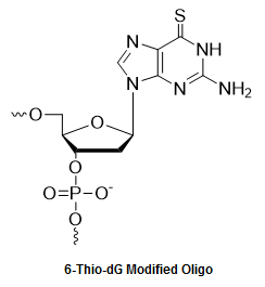 6-Thio-2'-deoxyguanosine, 6-Thio-dG Oligonucleotide Modification