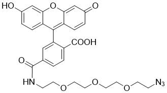 FAM TEG Azide Oligonucleotide Labeling
