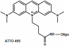 ATTO 495 Fluorescent Dye Oligonucleotide Labeling