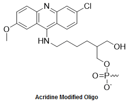 Acridine Intercalator Modified Oligonculeotide