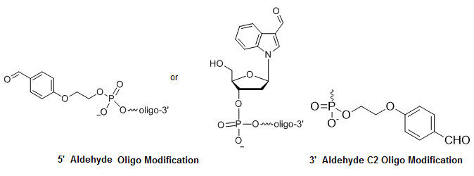 Aldehyde Oligonucleotide Modification
