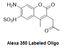 Alexa 350 Oligo Labeling