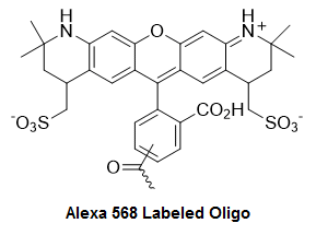 Alexa 568 Fluorescent Dye Oligonucleotide Labeling