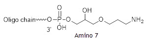 Amino 7 Linker Oligonucleotide Modification