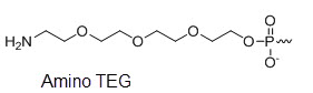 Amino TEG Oligonucleotide