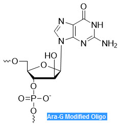 Araguanosine, Ara-G Oligonucleotide Modification