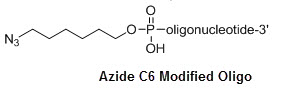 Azide C6 Modified Oligo Synthesis