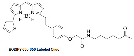 BODIPY 630/650 Fluorescent Dye Oligonucleotide Labeling