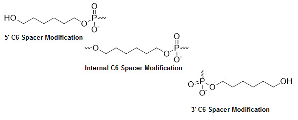 C6 Spacer Oligonucleotide Modification Product