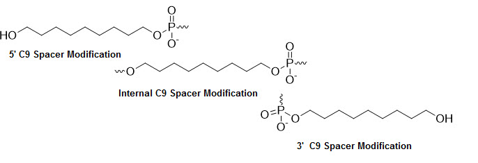 C9 Spacer Oligonucleotide Modification Product