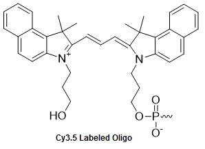 Cy3.5 Dye Oligo Labeling | Fluorescent Dye Oligonucleotide Labeling