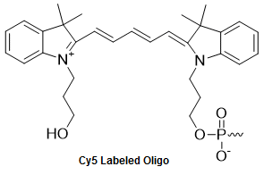 Cy5 Fluorescent Dye Oligonucleotide Labeling