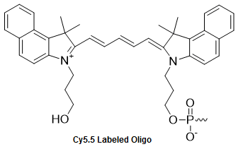 Cy5.5 Fluorescent Dye Oligonucleotide Labeling