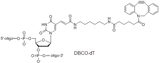 DBCO-dT Oligo Modification