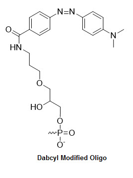 Dabcyl Quencher Oligonucleotide Modification