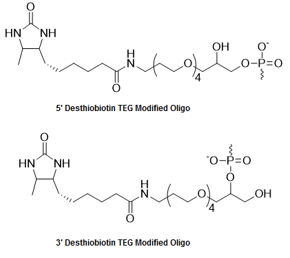 Desthiobiotin TEG Oligonucleotide Modification