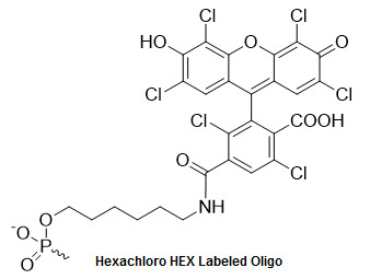 HEX, Hexachlorofluorescein Oligonucleotide Labeling