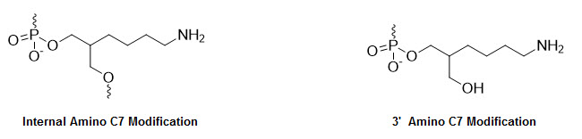 Amino C7 Linker Oligonucleotide Modification