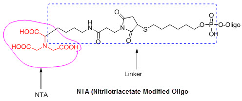 Nitrilotriacetate (NTA) Oligo Conjugates