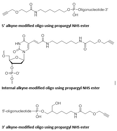 Propargyl NHS Modified Oligo Synthesis