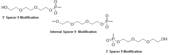 Spacer 9 Oligonucleotide Modification