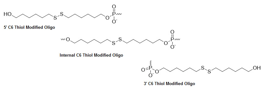 Thiol C6 Modified Oligonucleotide