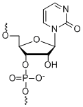 Zebularine Modified RNA Synthesis