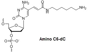 2'-Deoxycytidine-5-C6 Amino Linker (5-Amino C6-dC)