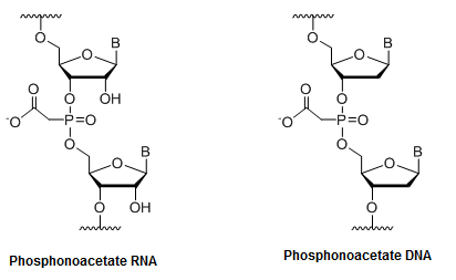 Phosphonoacetate PACE DNA Oligonucleotide Modification